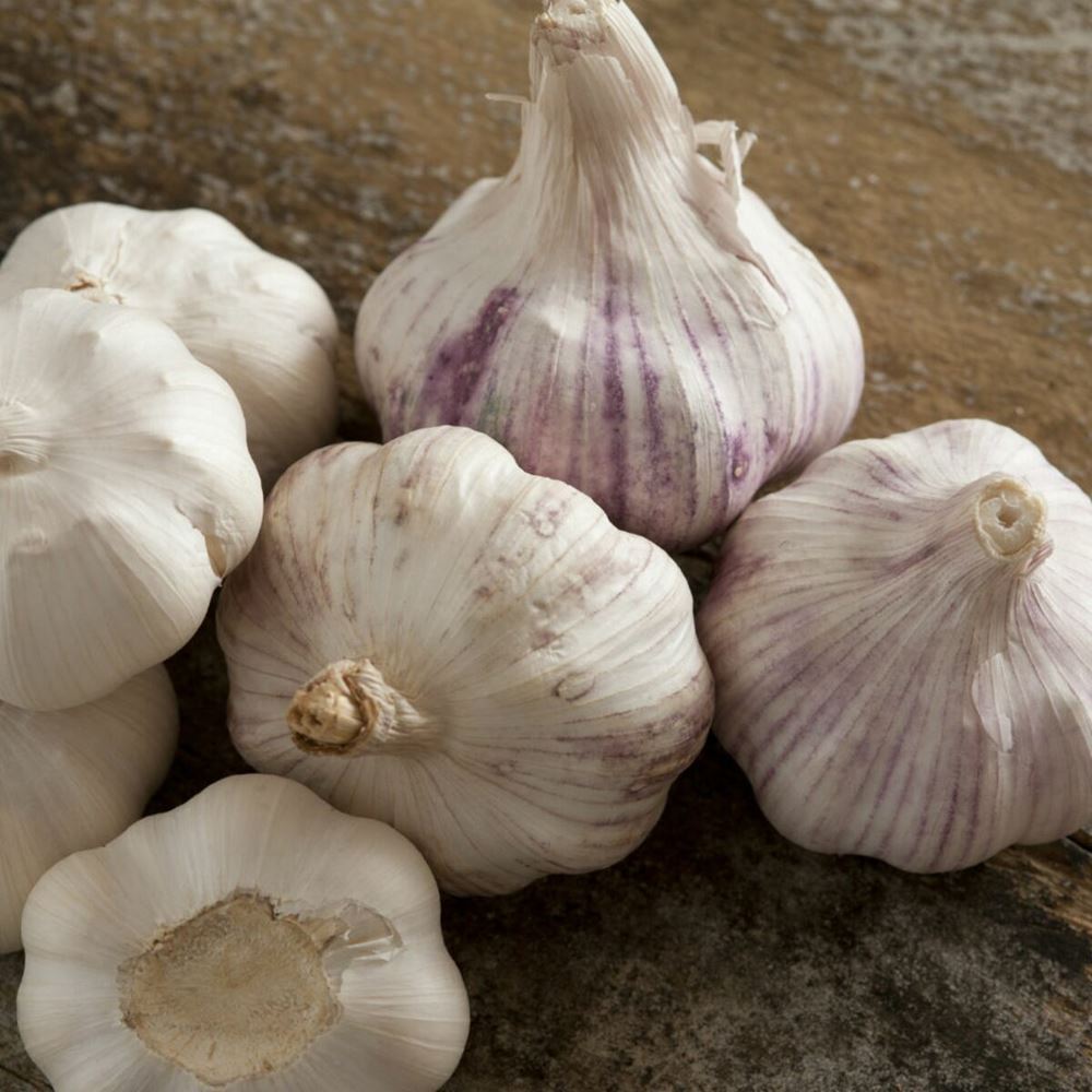 Les bienfaits de l'ail